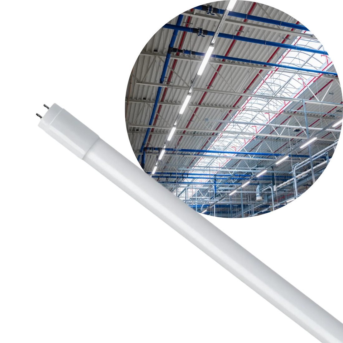 LED TL | 150cm | T8 LED Tube | 22W | 6500K | 3520lm
